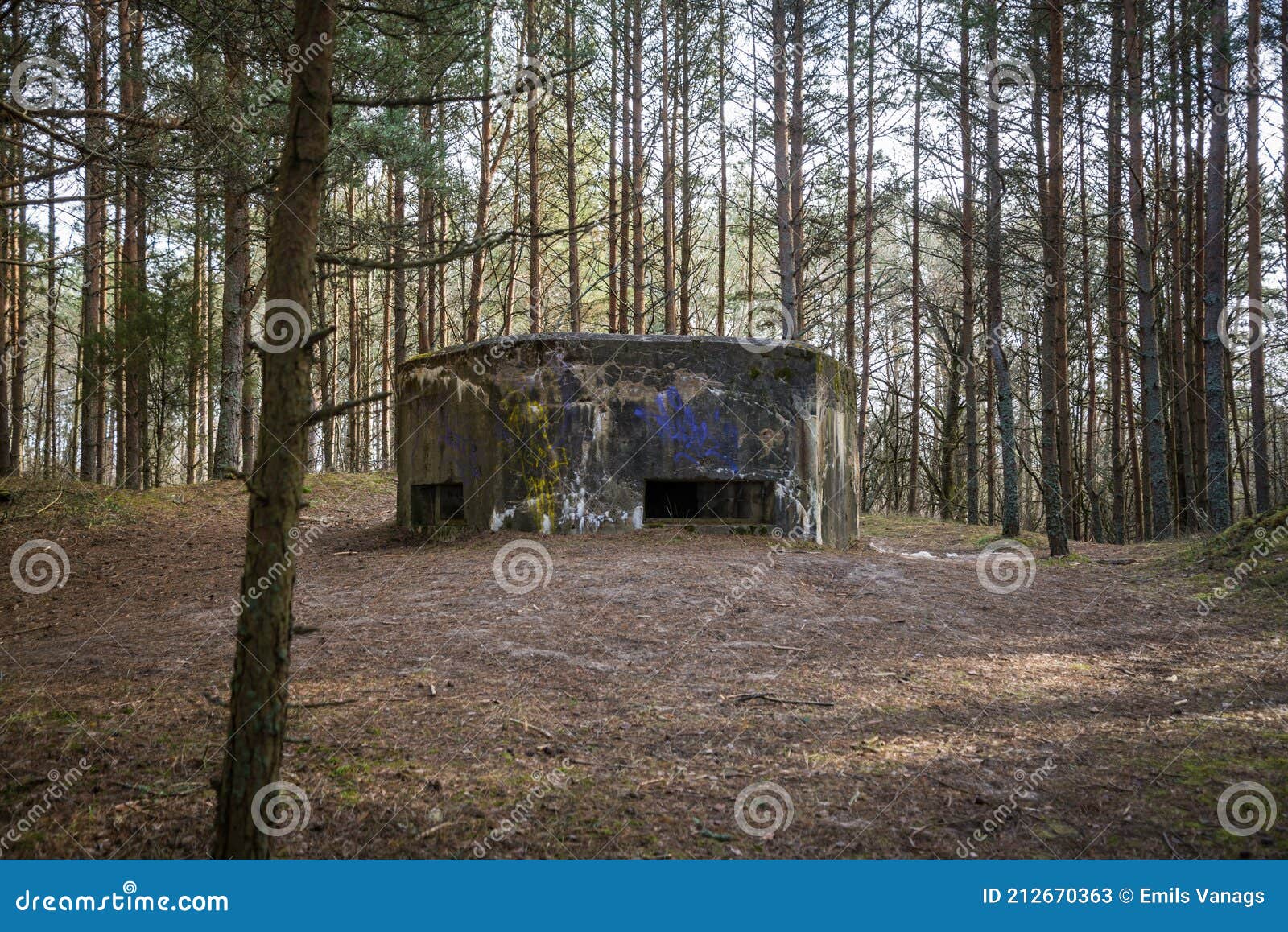 Abandoned War Bunker in a Pine Forest Stock Image - Image of road ...
