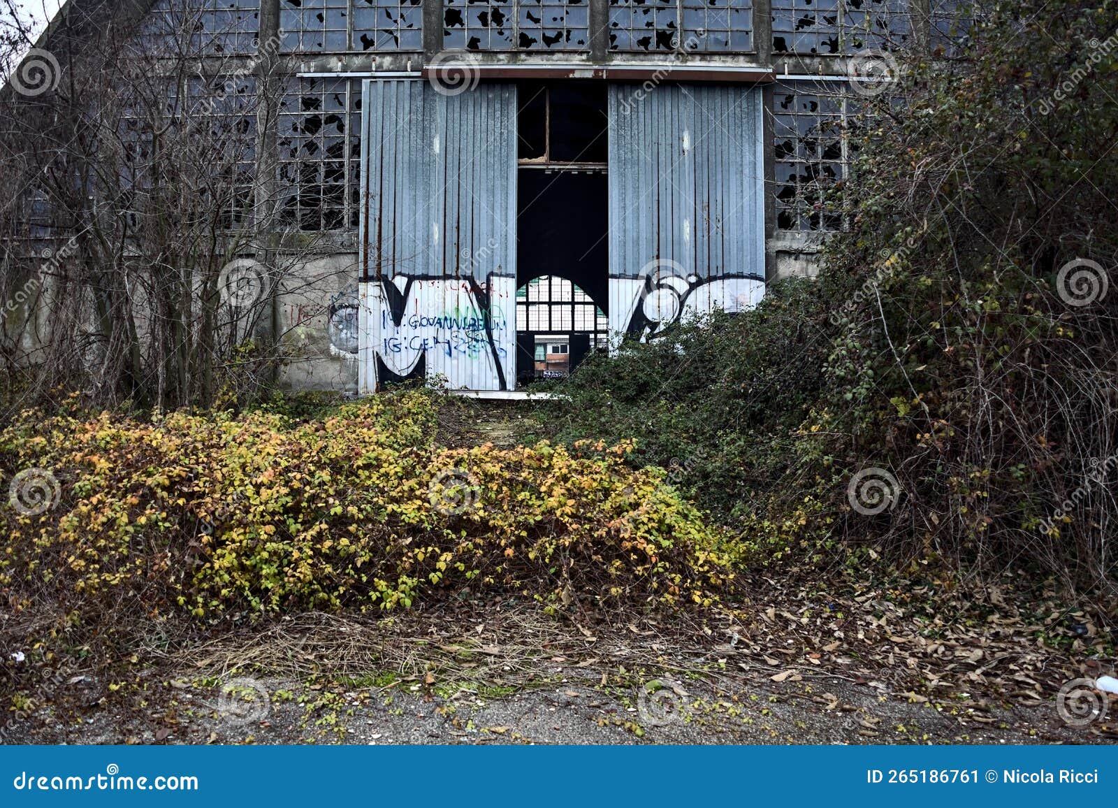 Abandoned Warehouse with Broken Windows in a Park on a Cloudy Day in ...
