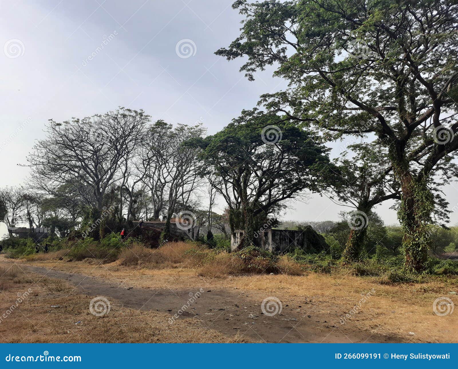 An Abandoned Warehouse of Bullet from the Colonial Era Stock Image ...