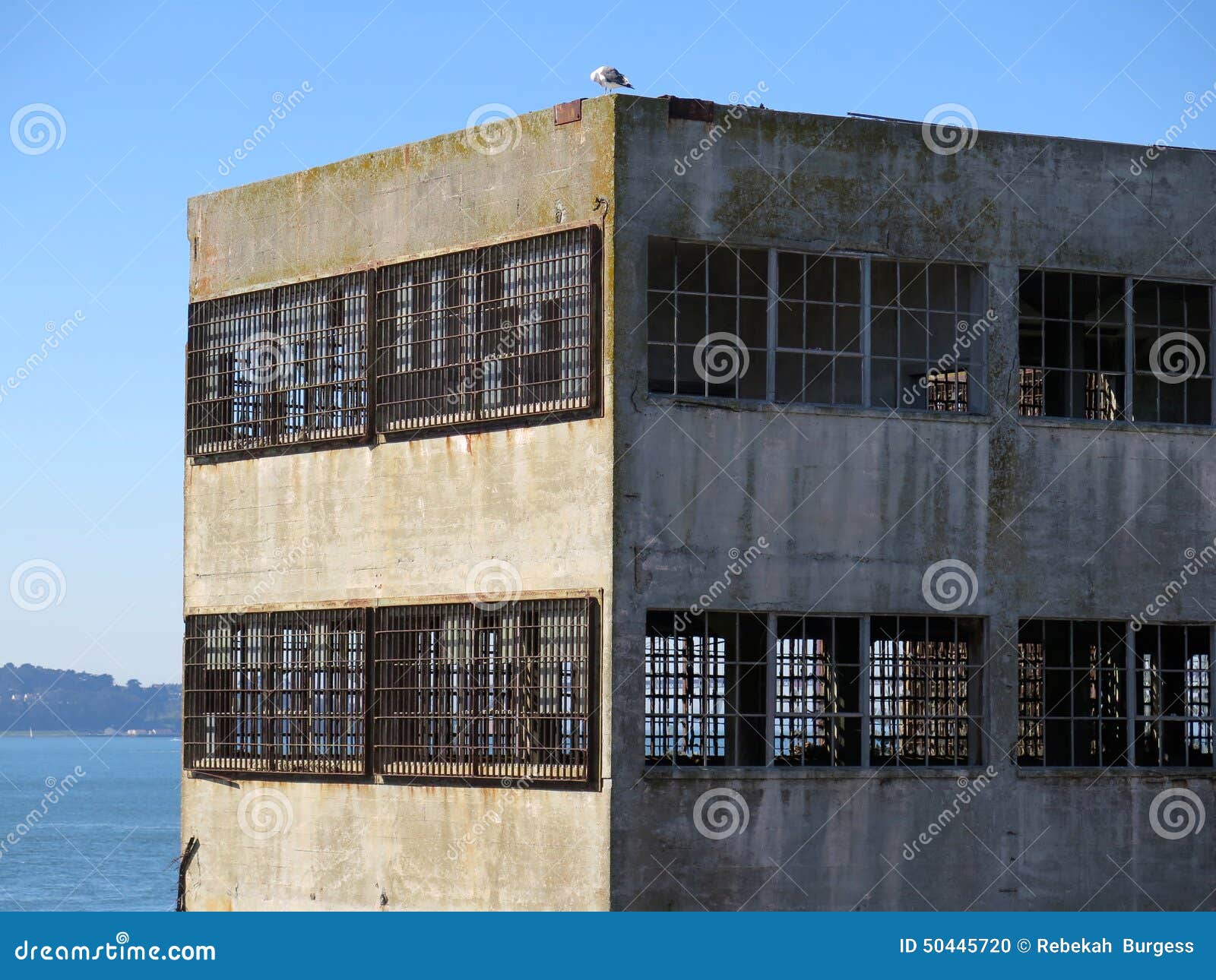 Abandoned Warehouse stock photo. Image of abandon, rust - 50445720