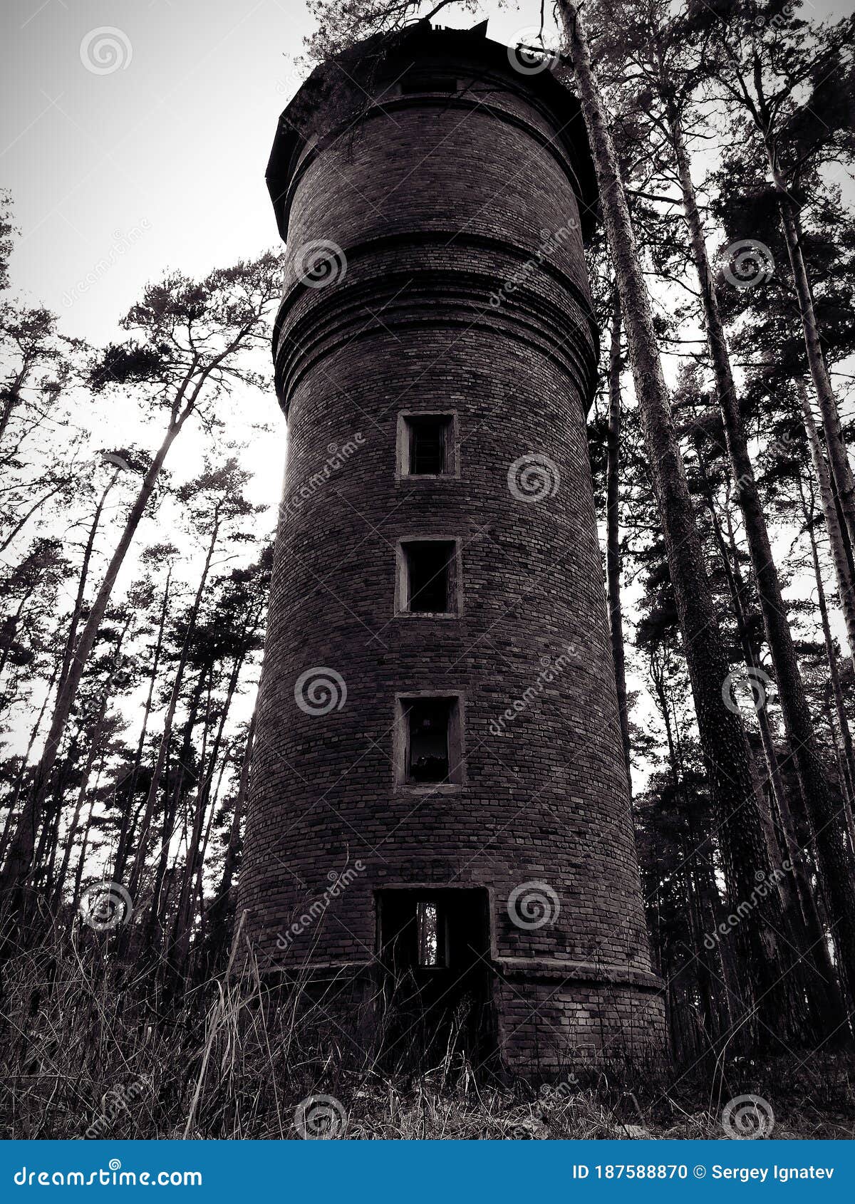 Abandoned Water Tower in the Forest Stock Photo - Image of tree ...