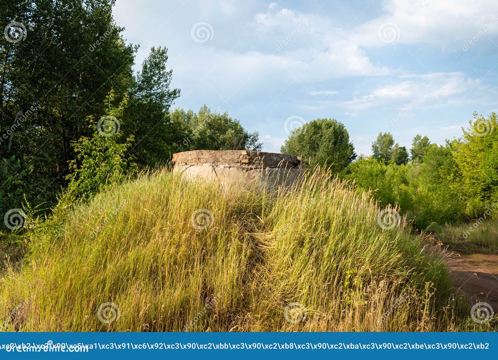 An Abandoned Well in the Forest Stock Image - Image of forest ...