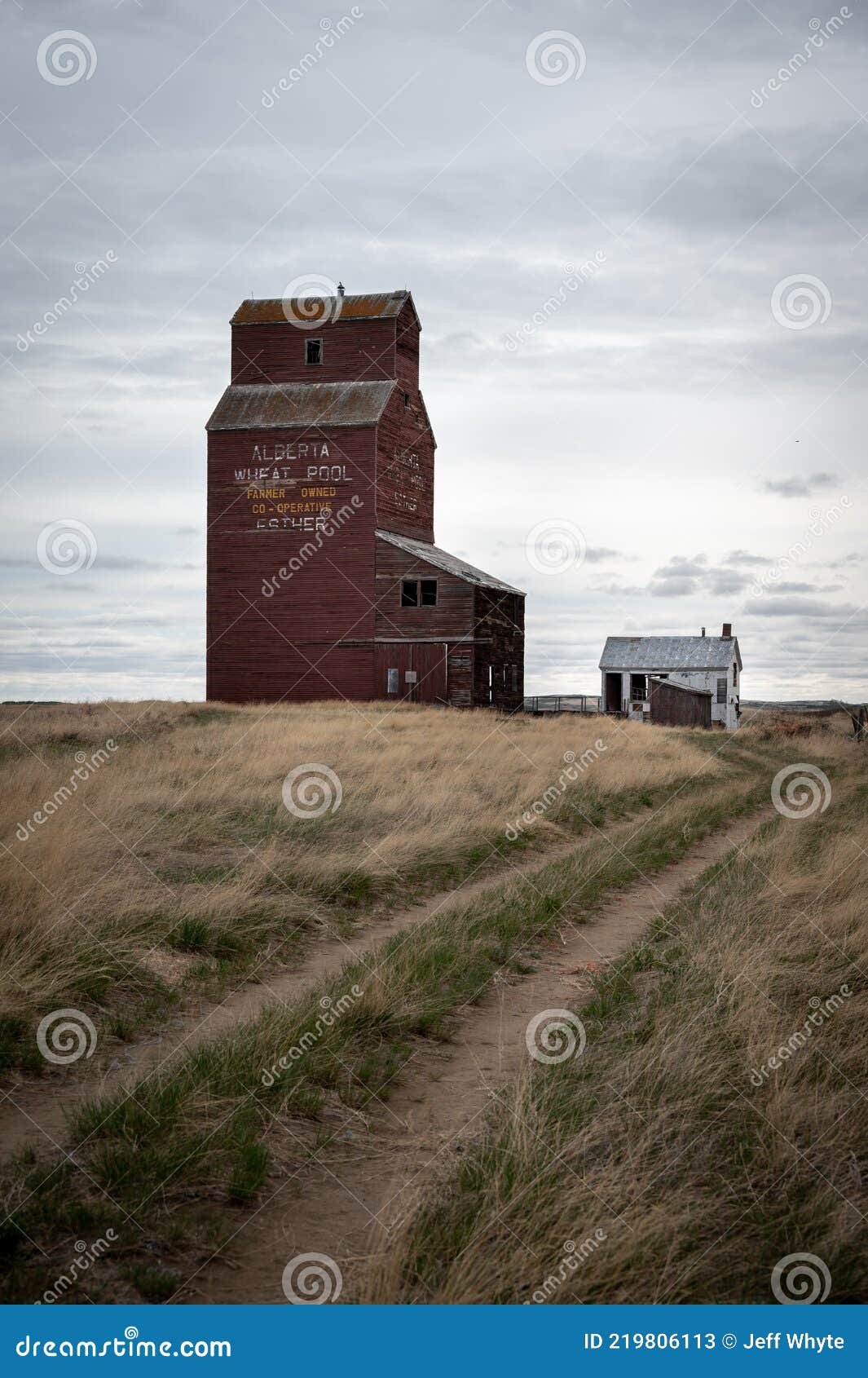 Abandoned Wheat Pool Elevator Editorial Stock Photo - Image of life ...