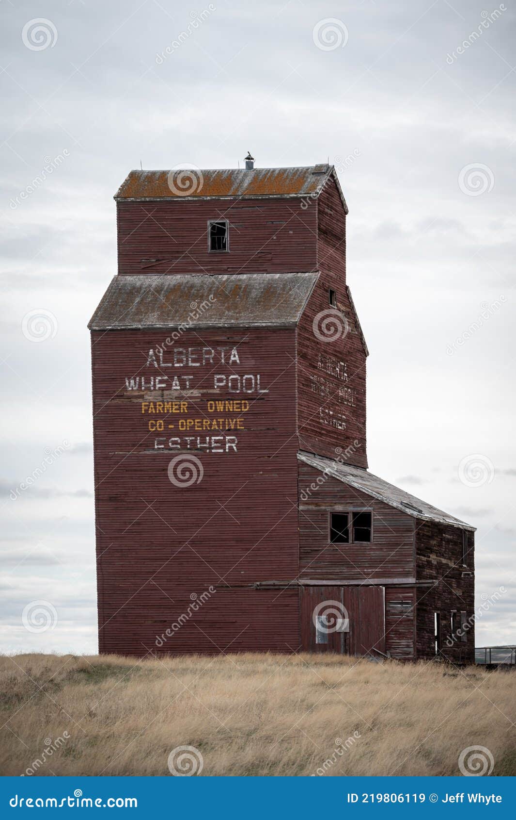 Old Wheat Pool Grain Elevator In Beiseker, Alberta Editorial Photo ...