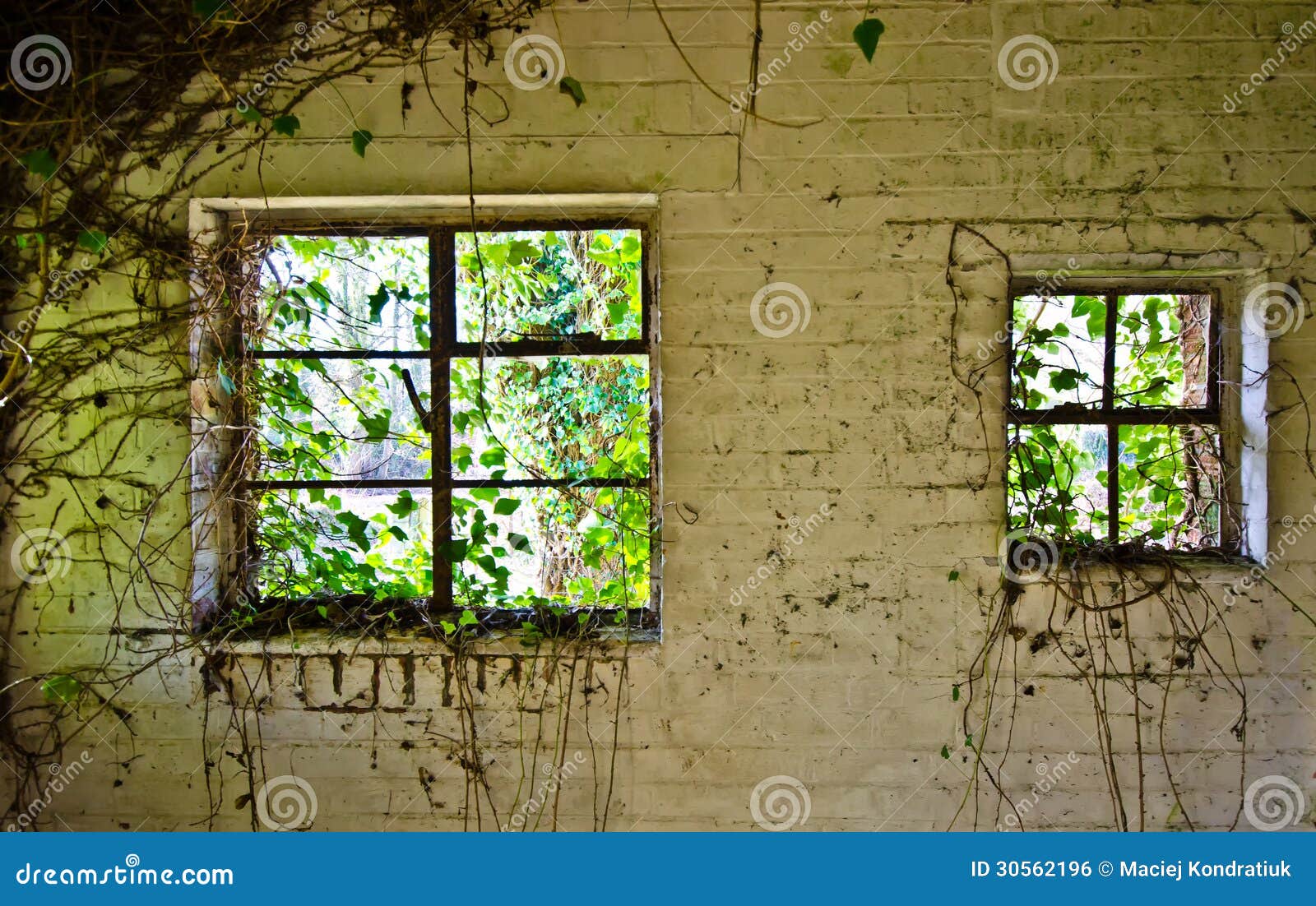 Abandoned windows stock photo. Image of construction - 30562196