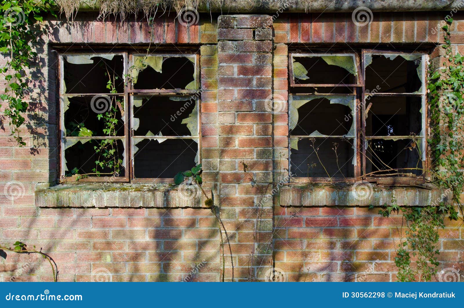 Abandoned windows stock photo. Image of house, green - 30562298
