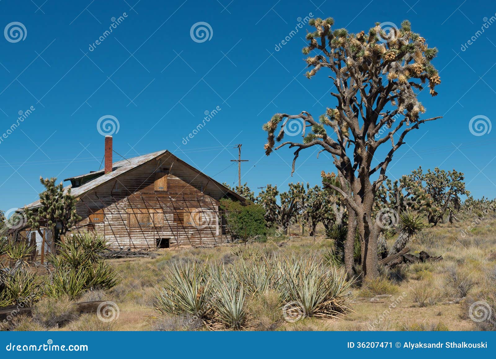 Abandoned wooden house stock image. Image of junk, countryside - 36207471