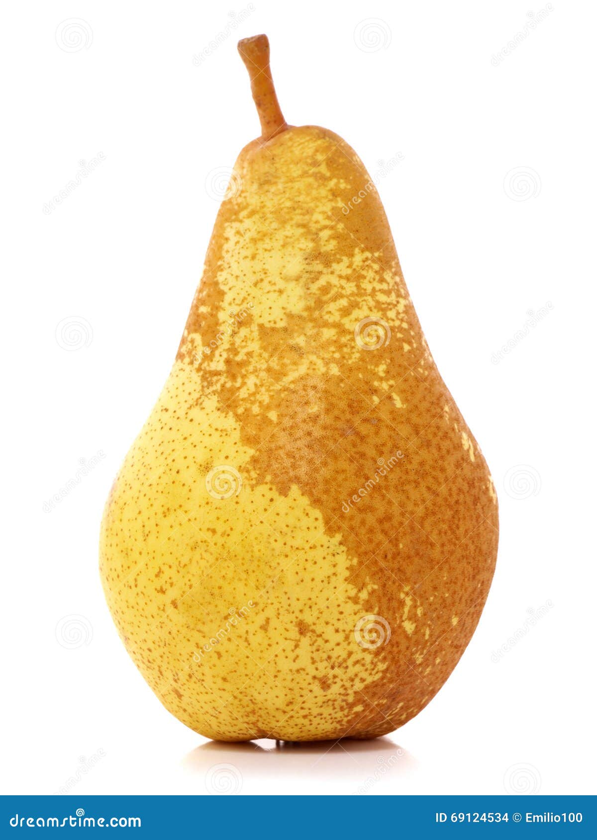 Abate Fetel pear stock photo. Image of background, stem - 69124534