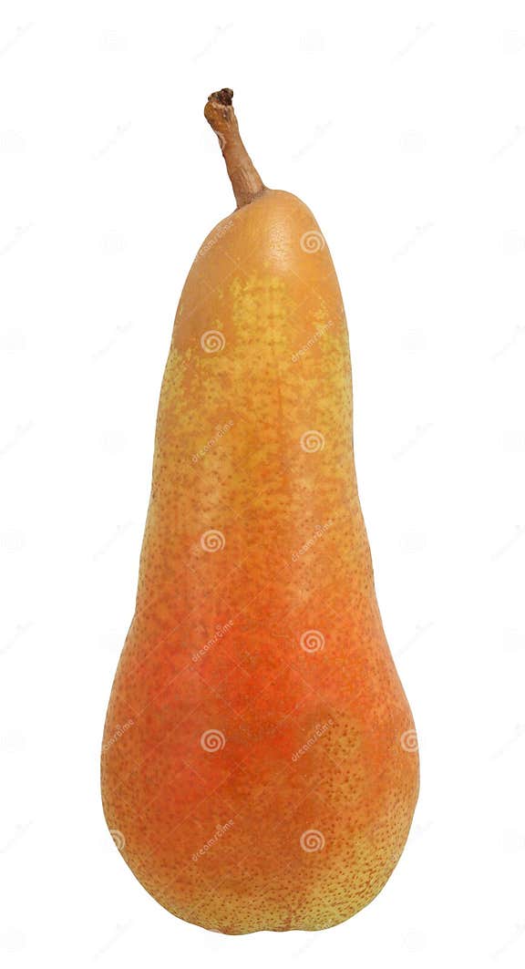 Abate pear. stock image. Image of pear, healthy, clipping - 17676923