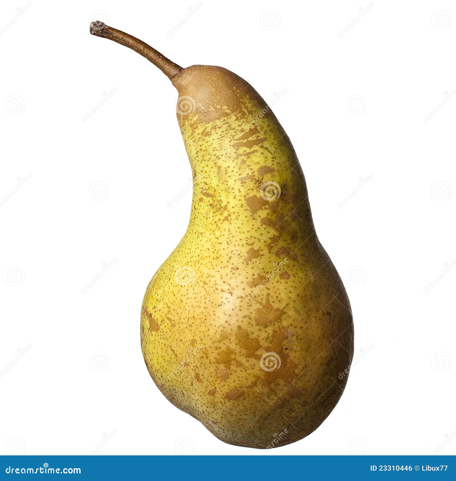 Abate Pear stock photo. Image of juicy, food, closeup - 23310446