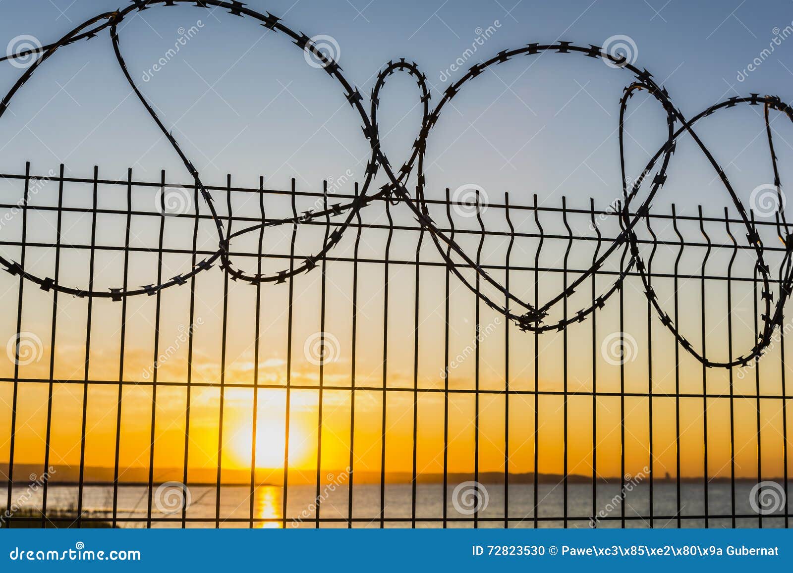 Abatis on the fence. stock photo. Image of railing, sunset - 72823530