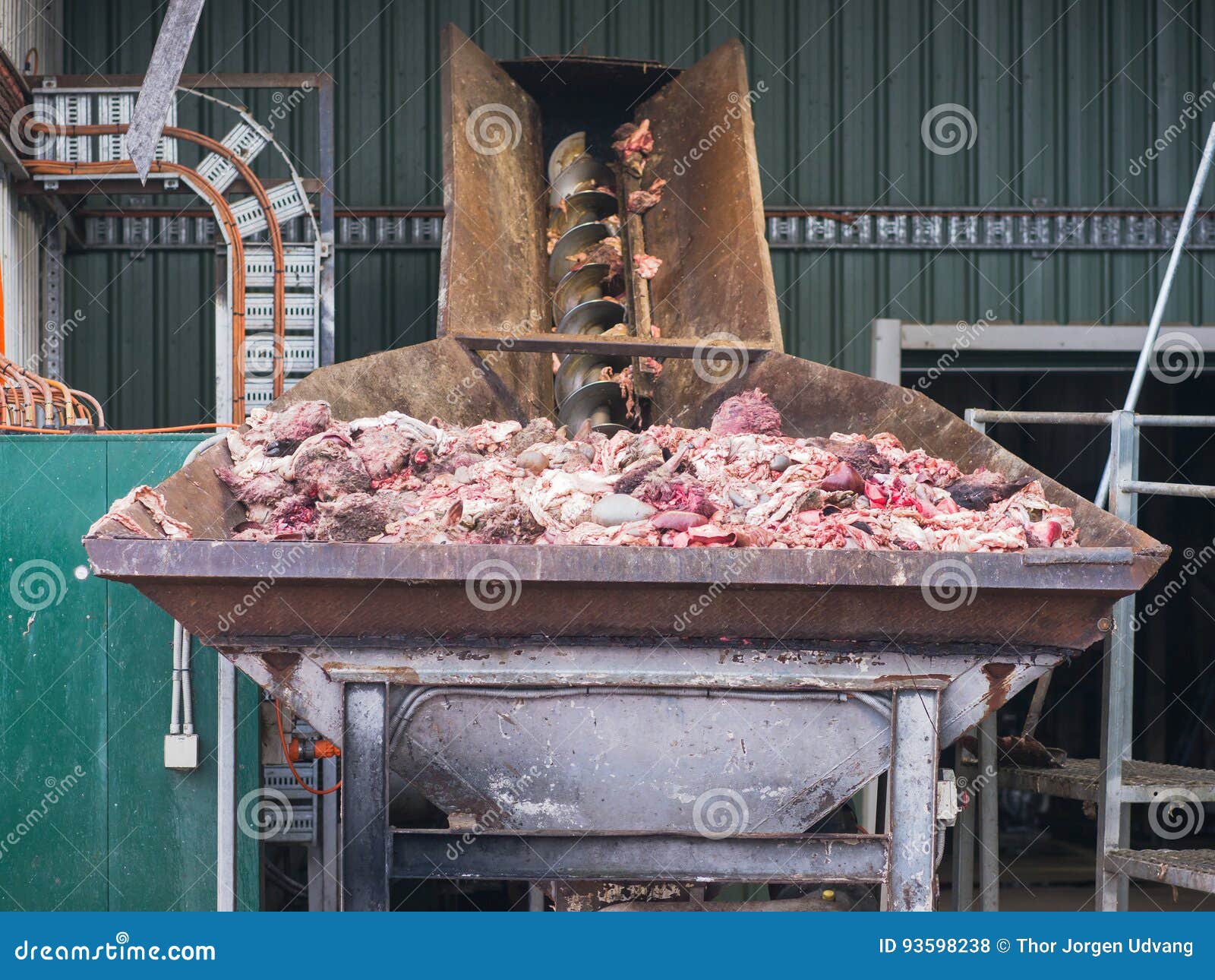 Abattoir Byproducts for Processing. Stock Photo - Image of production ...