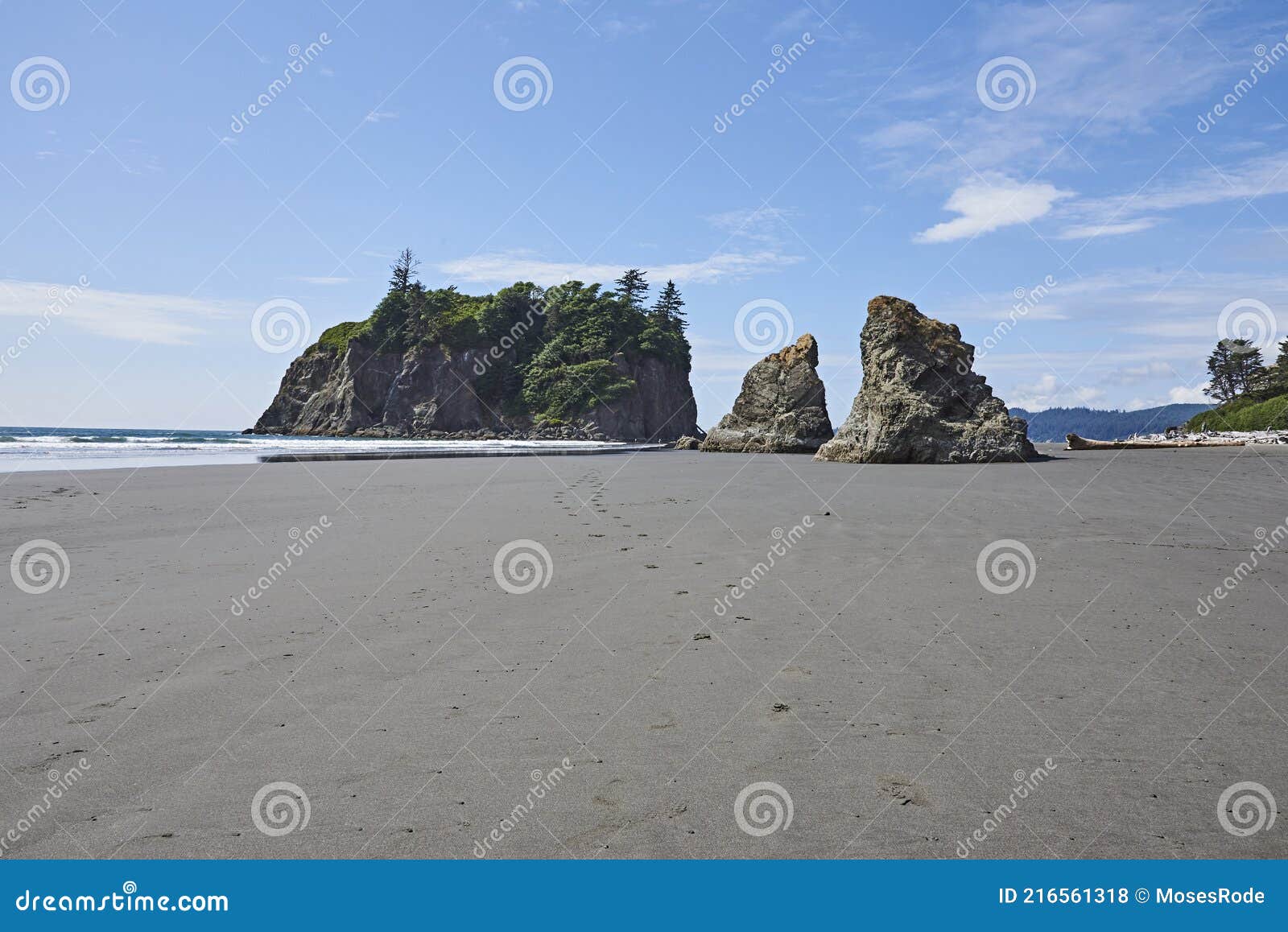 Abbey Island at Ruby Beach in Olympic National Park Stock Photo - Image ...