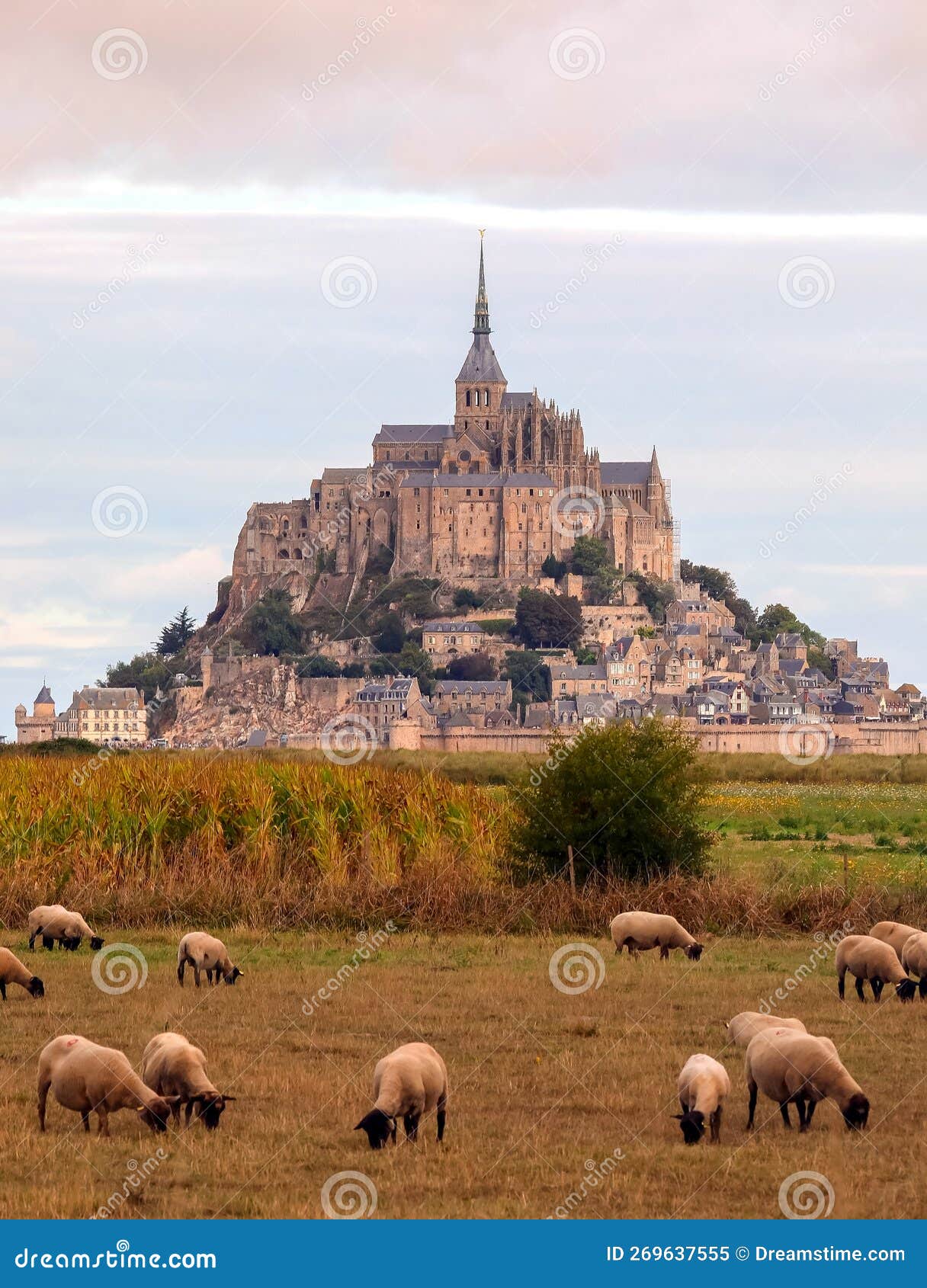 Abbey Located on the Tidal Island in Normandy Stock Image - Image of ...