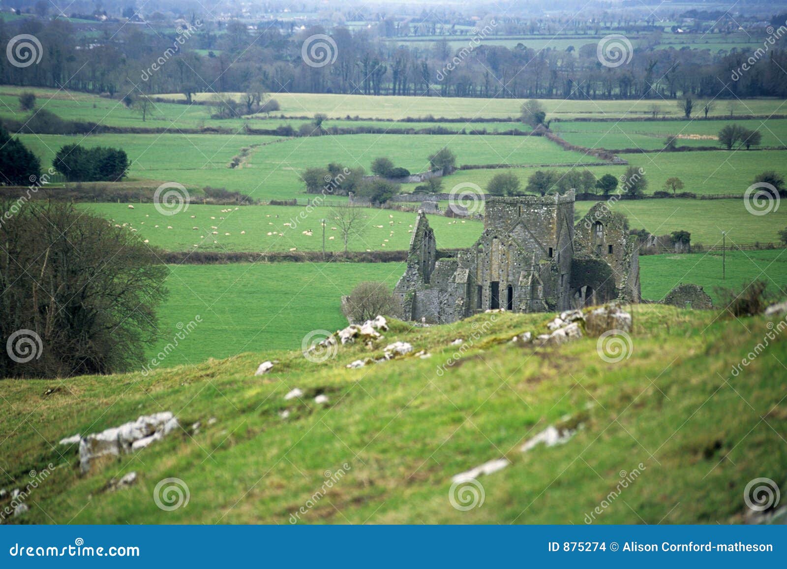 Abbey Ruin stock photo. Image of county, countryside, monestary - 875274