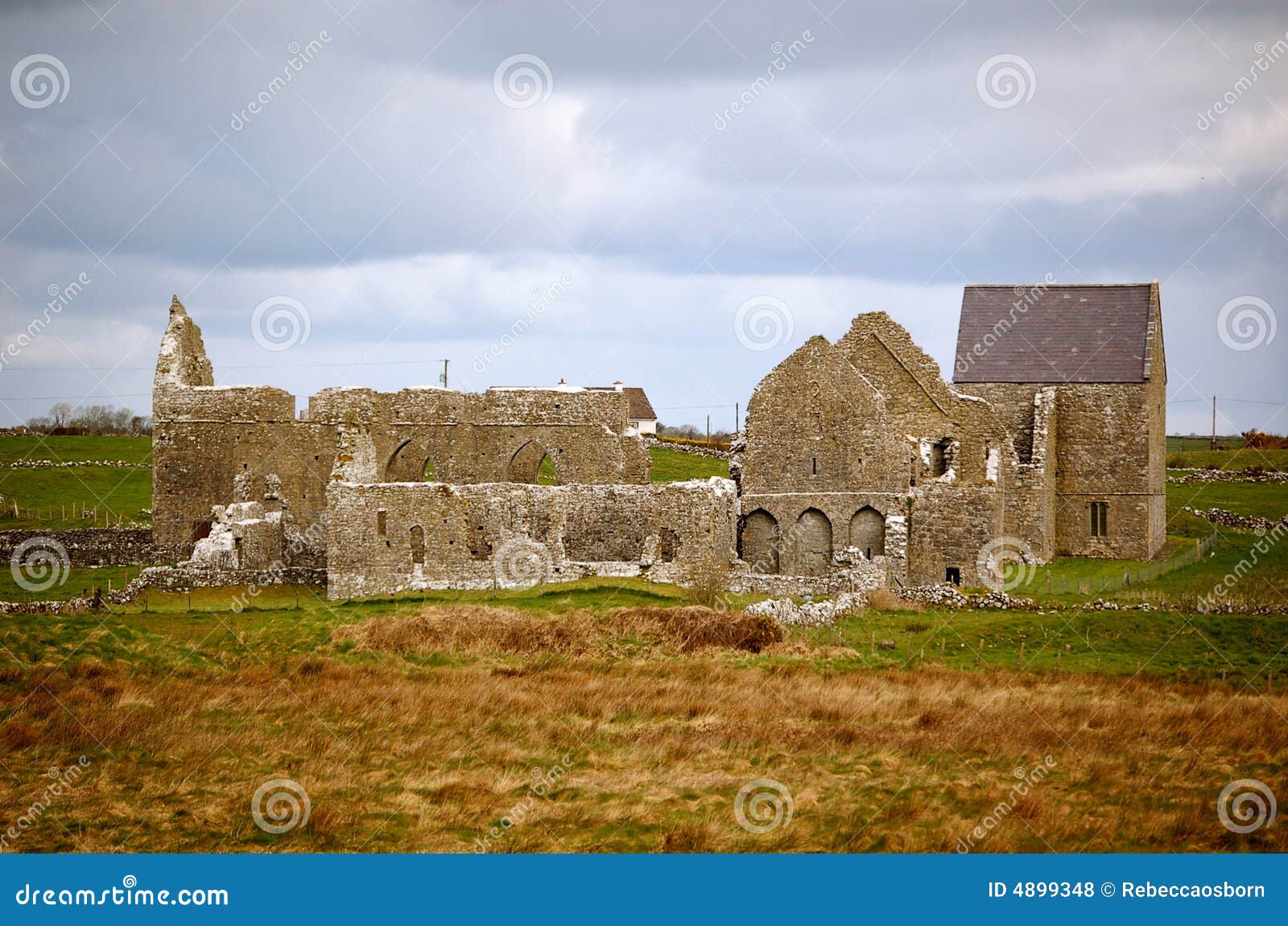 Abbeyknockmoy Picture. Image: 4899348