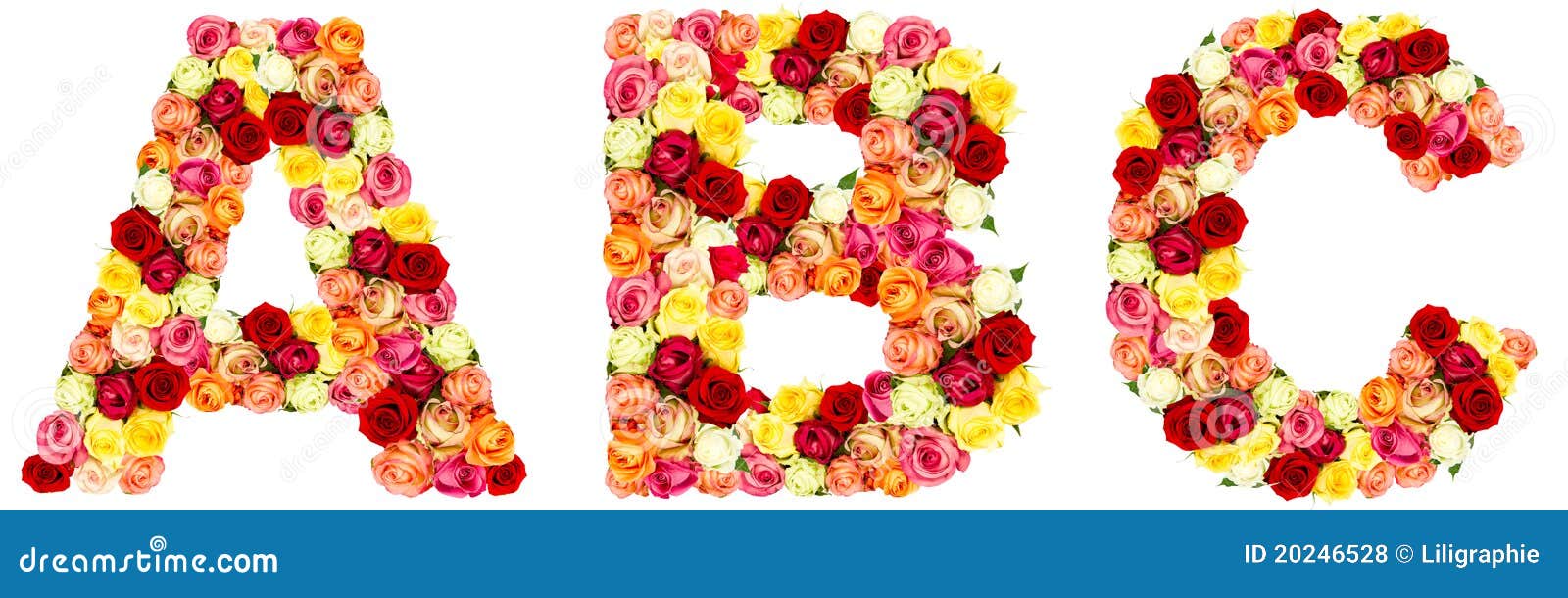 ABC, Alfabeto De La Flor De Las Rosas Foto de archivo - Imagen de ...