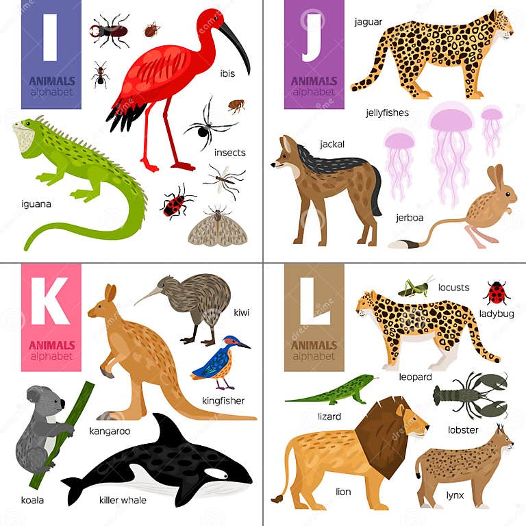 Abc Animals. Cute Vector Zoo Alphabet. Stock Vector - Illustration of ...
