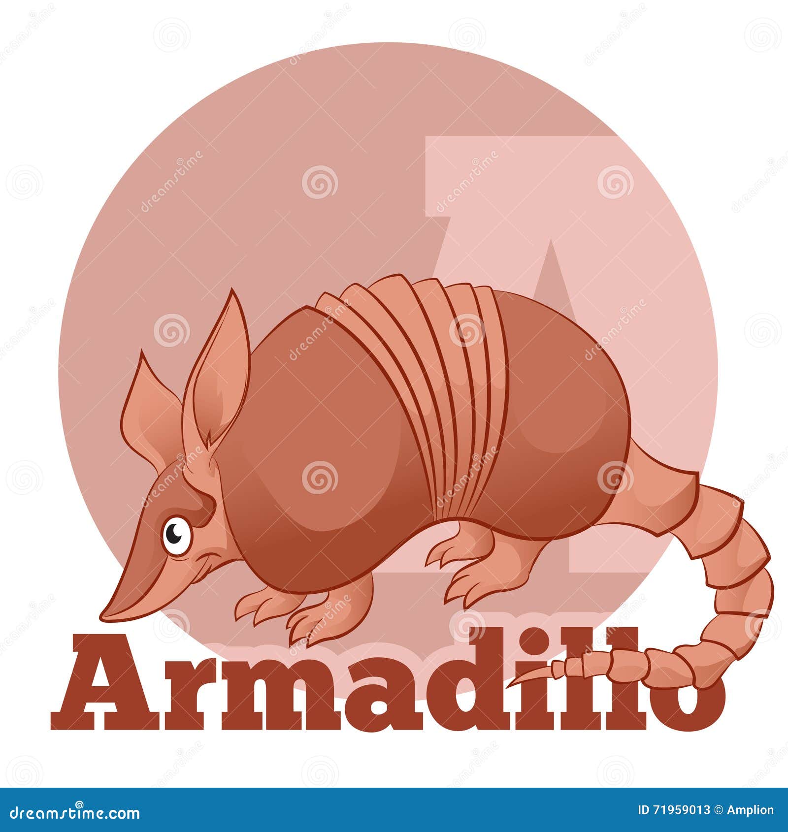 ABC Cartoon Armadillo2 stock vector. Illustration of baby - 71959013