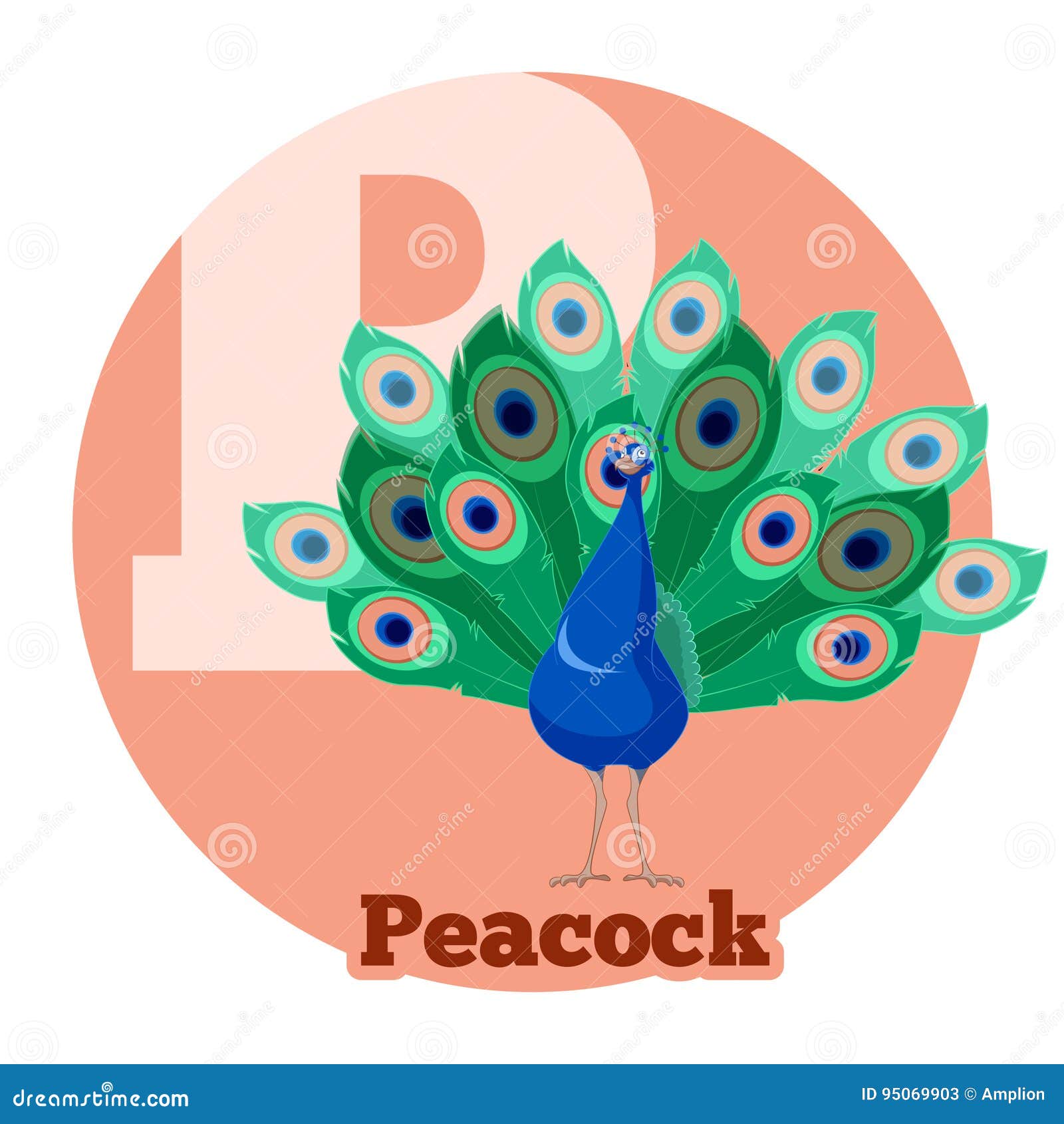 ABC Cartoon Peacock stock vector. Illustration of feather - 95069903