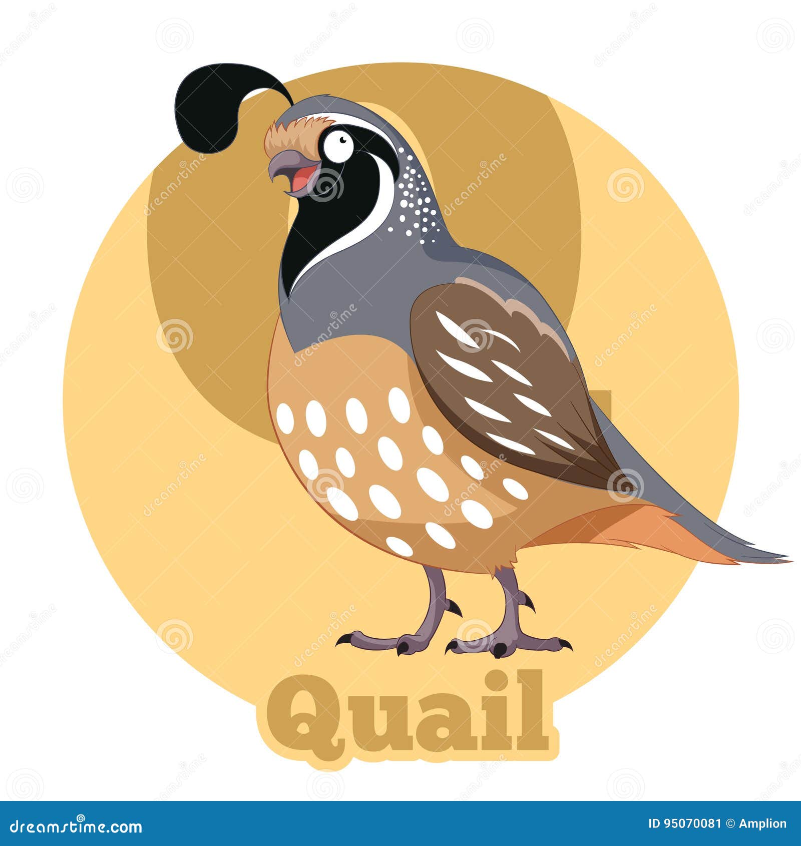ABC Cartoon Quail stock vector. Illustration of clip - 95070081