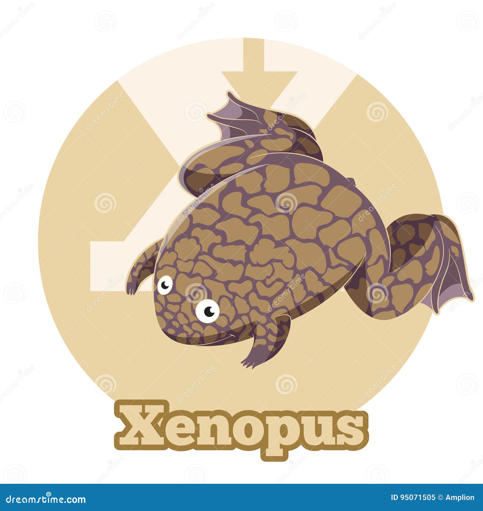 ABC Cartoon Xenopus stock vector. Illustration of education - 95071505