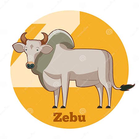 ABC Cartoon Zebu stock vector. Illustration of domestic - 95071600