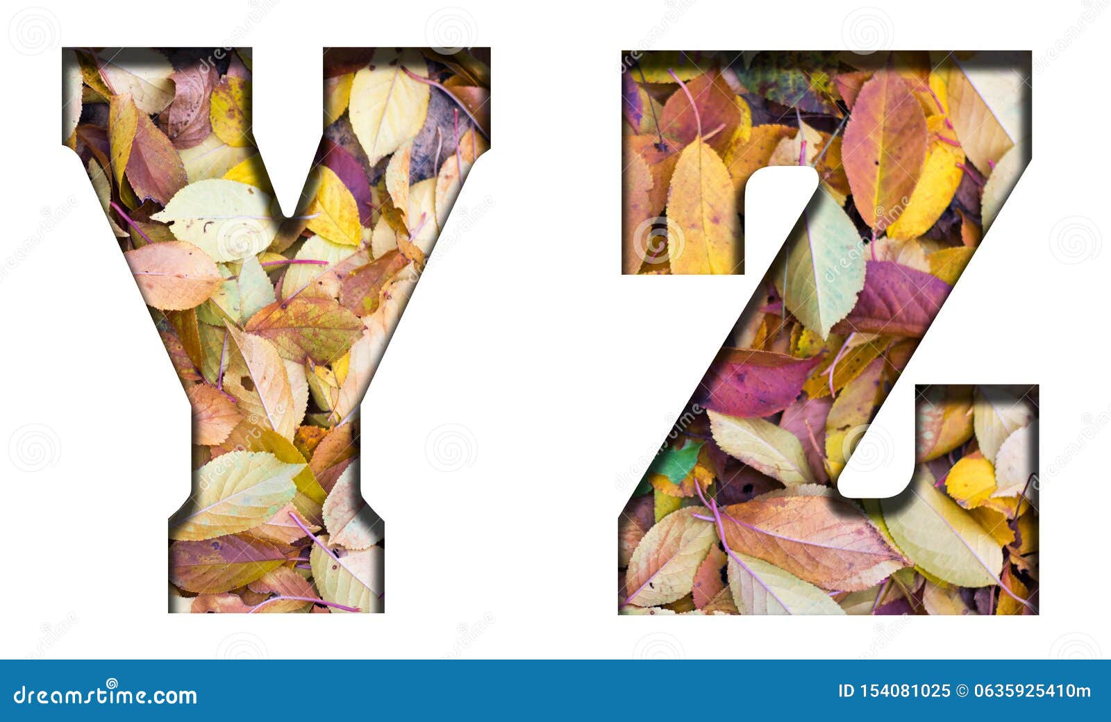Abc Letters Autumn Leaves, on a White Background. Stock Image - Image ...
