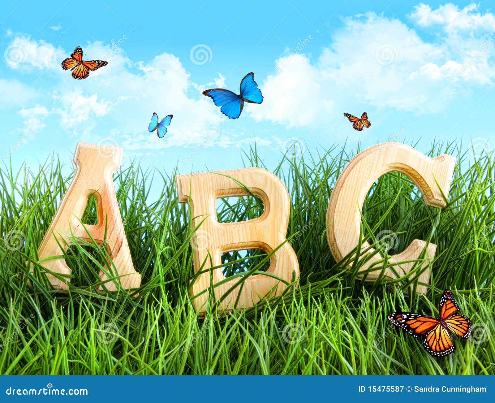 ABC letters in the grass stock image. Image of starting - 15475587