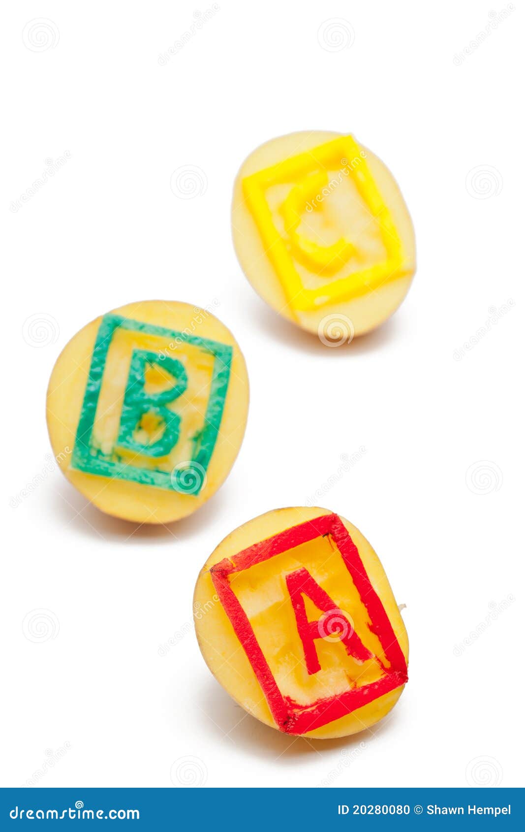 ABC potato stamps stock photo. Image of colors, white - 20280080