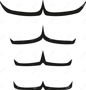 Abdominal Muscles Vector Vector Stock Vector - Illustration of isolated ...