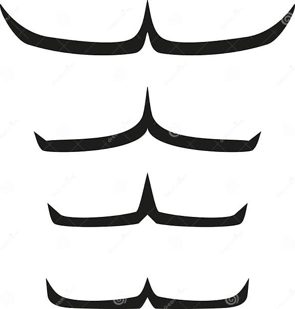 Abdominal Muscles Vector Vector Stock Vector - Illustration of isolated ...