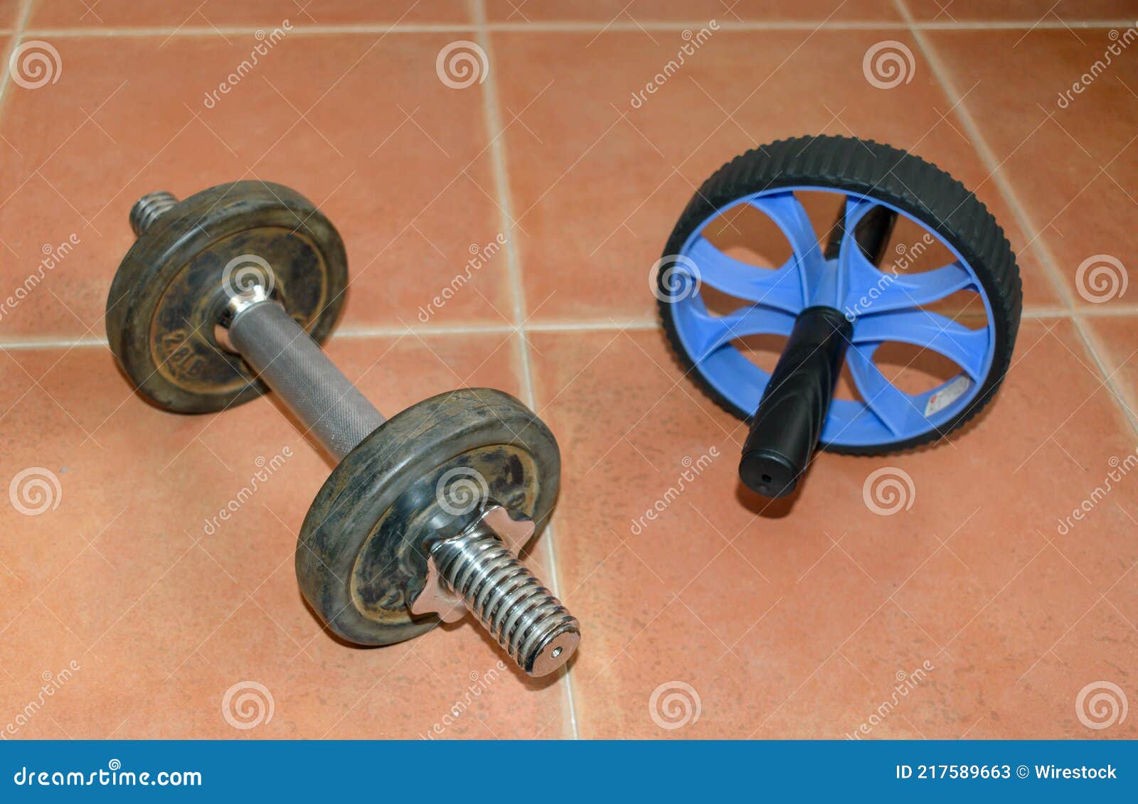 Abdominal Wheel and Dumbbells in a House Gym Stock Image - Image of ...