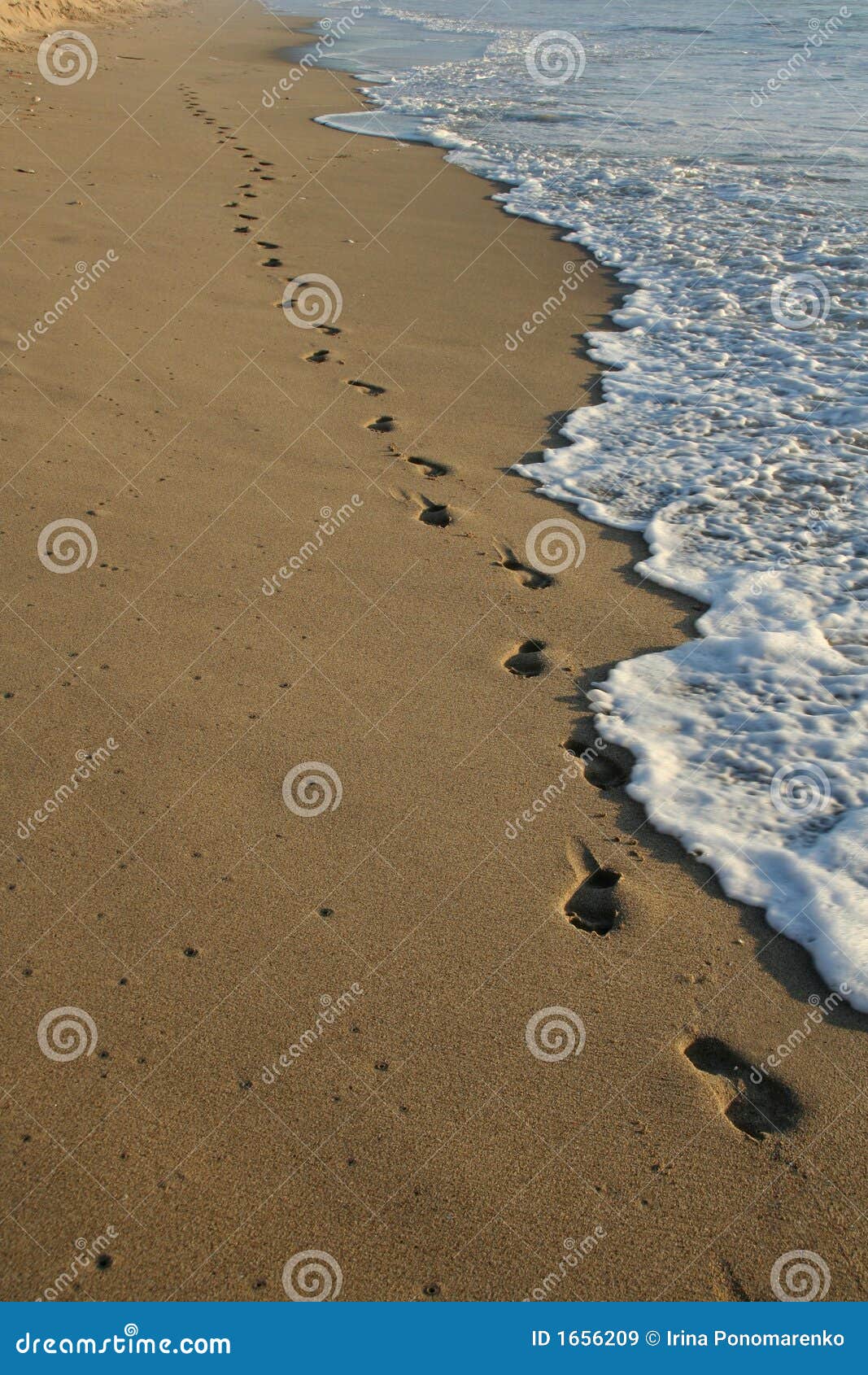 Abdrücke auf dem Strand stockbild. Bild von spur, entspannen - 1656209