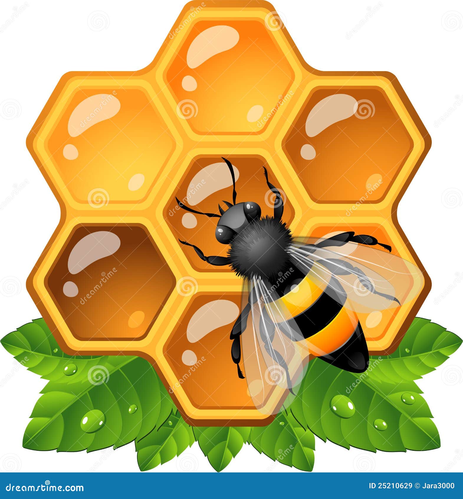 Abeja en el panal ilustración del vector. Ilustración de hoja - 25210629