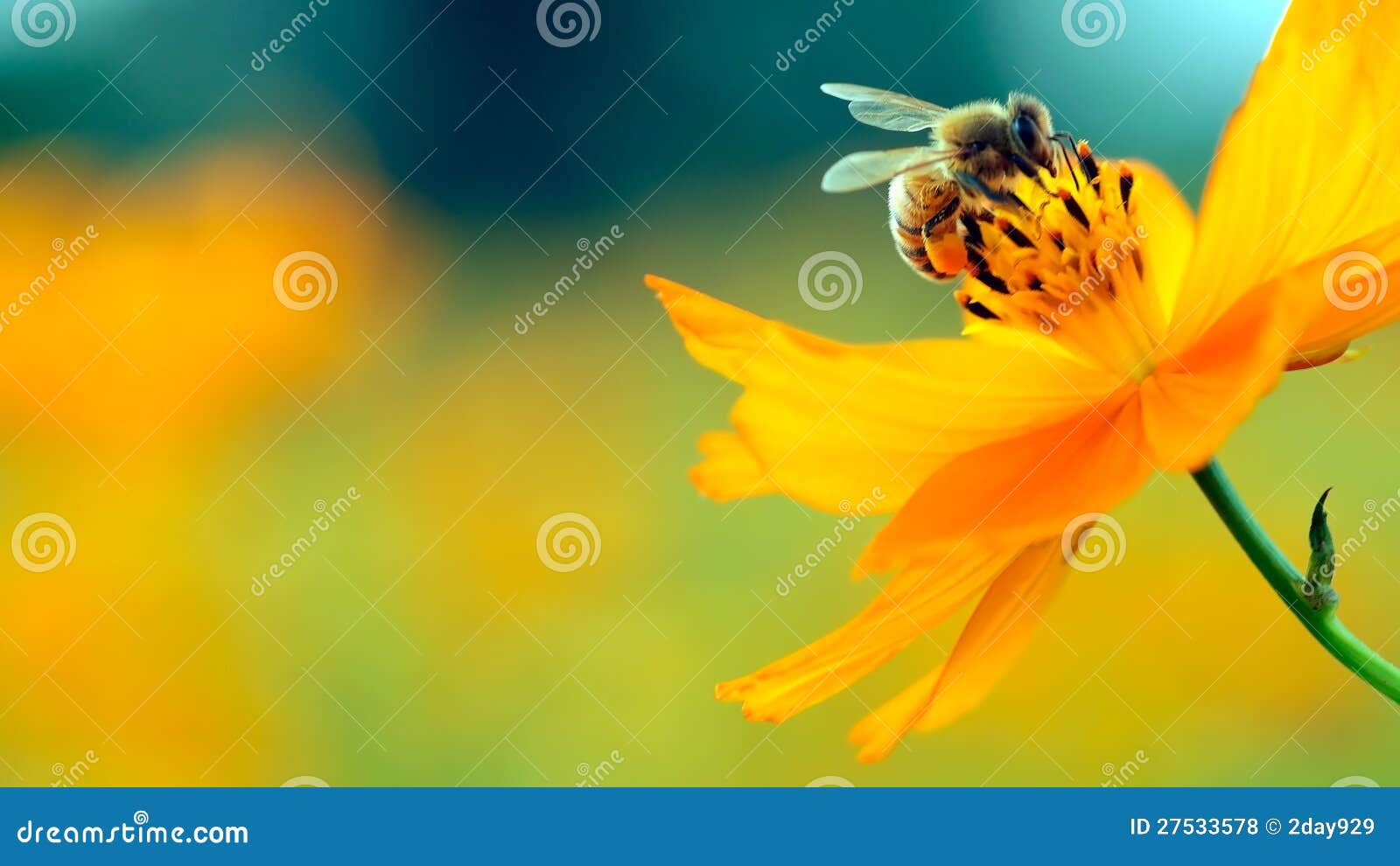 Naturaleza and Flores y jardines Fotos De Stock, Imágenes, & Imágenes ...