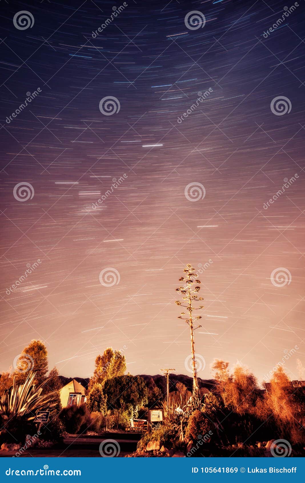 Abel Tasman National Park New Zealand Editorial Stock Image - Image of ... Abel Tasman National Park New Zealand Editorial Stock Image - Image of ...