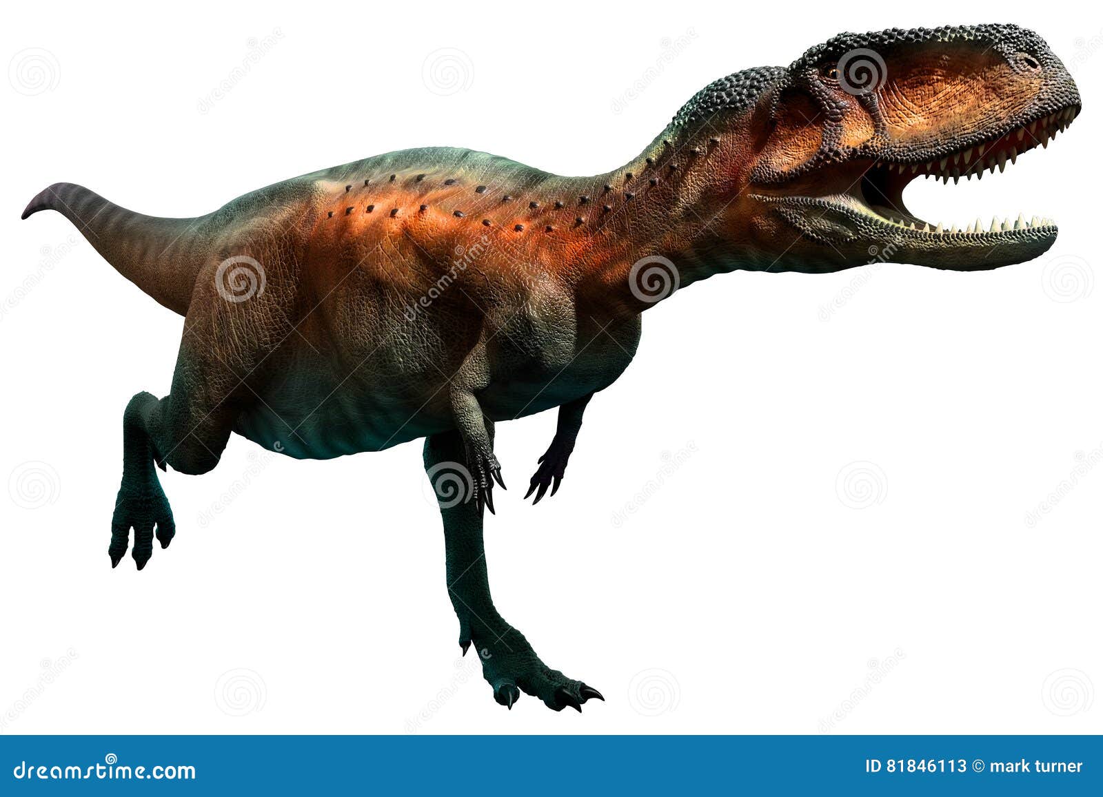 Abelisaurus stock illustration. Illustration of carnivore - 81846113