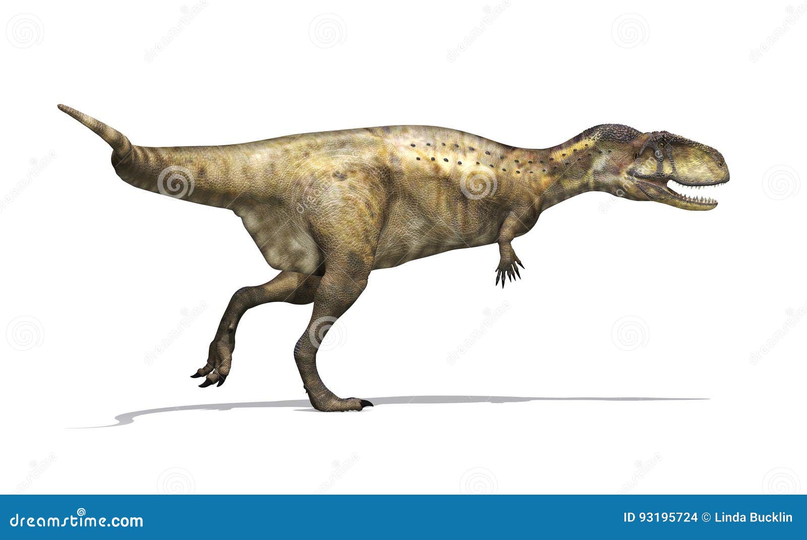 Abelisaurus Dinosaur stock illustration. Illustration of theropod ...