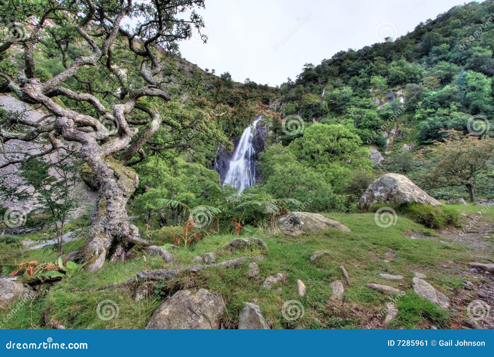 Aber Falls stock image. Image of park, drop, wales, hills - 7285961