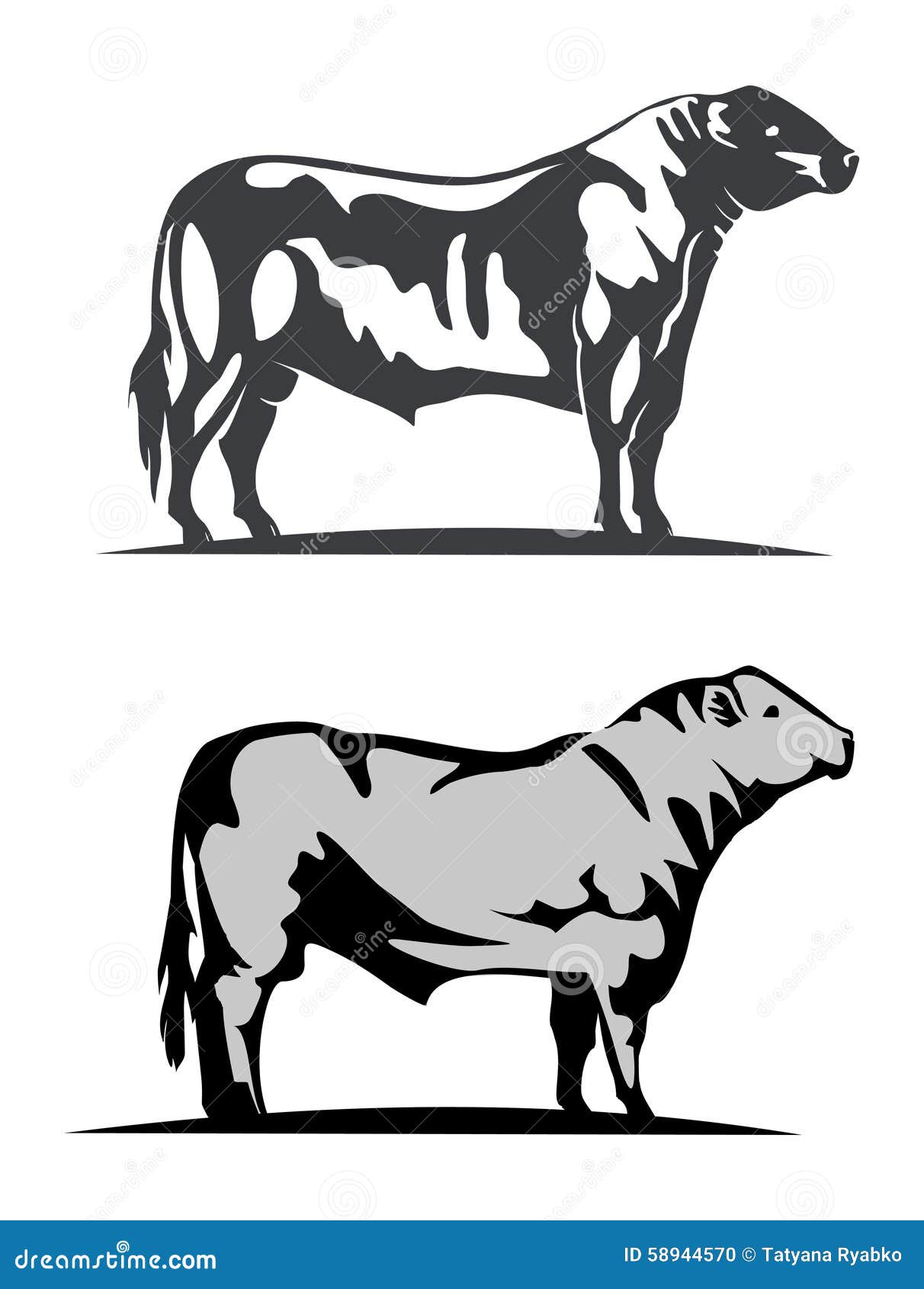 Aberdeen angus stock vector. Illustration of vector, farm - 58944570