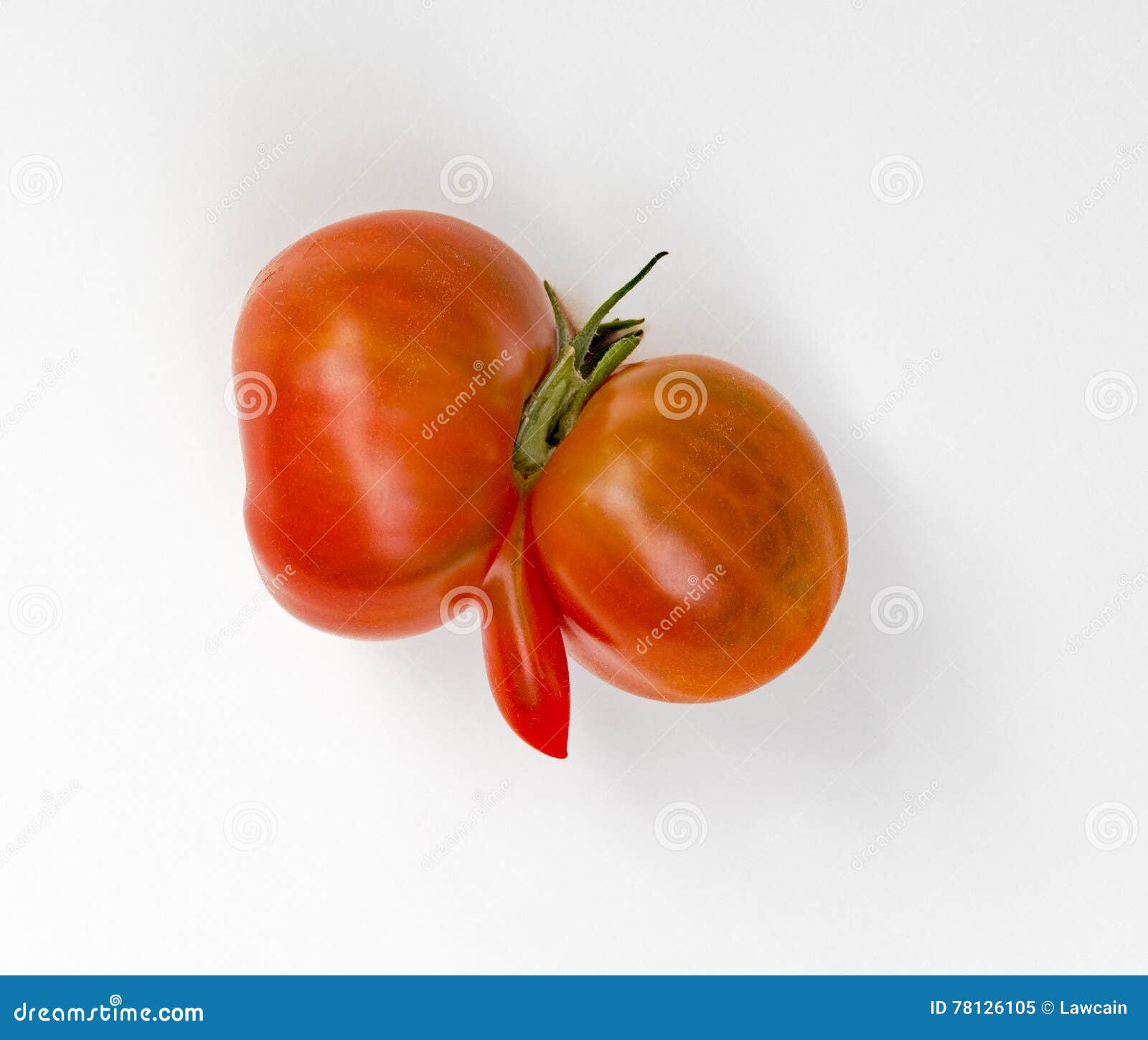 Aberrant Tomato stock image. Image of lycopersicum, lycopene - 78126105