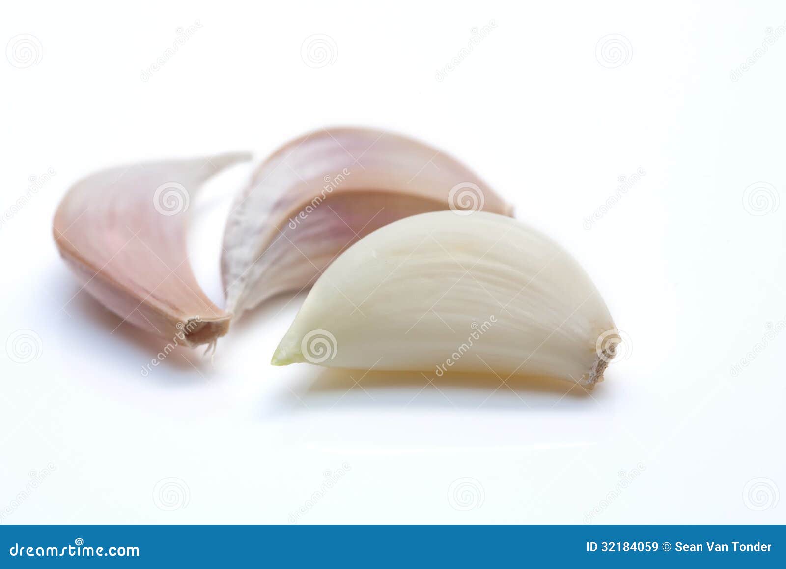 Abgezogene Knoblauchzehe stockbild. Bild von organisch - 32184059