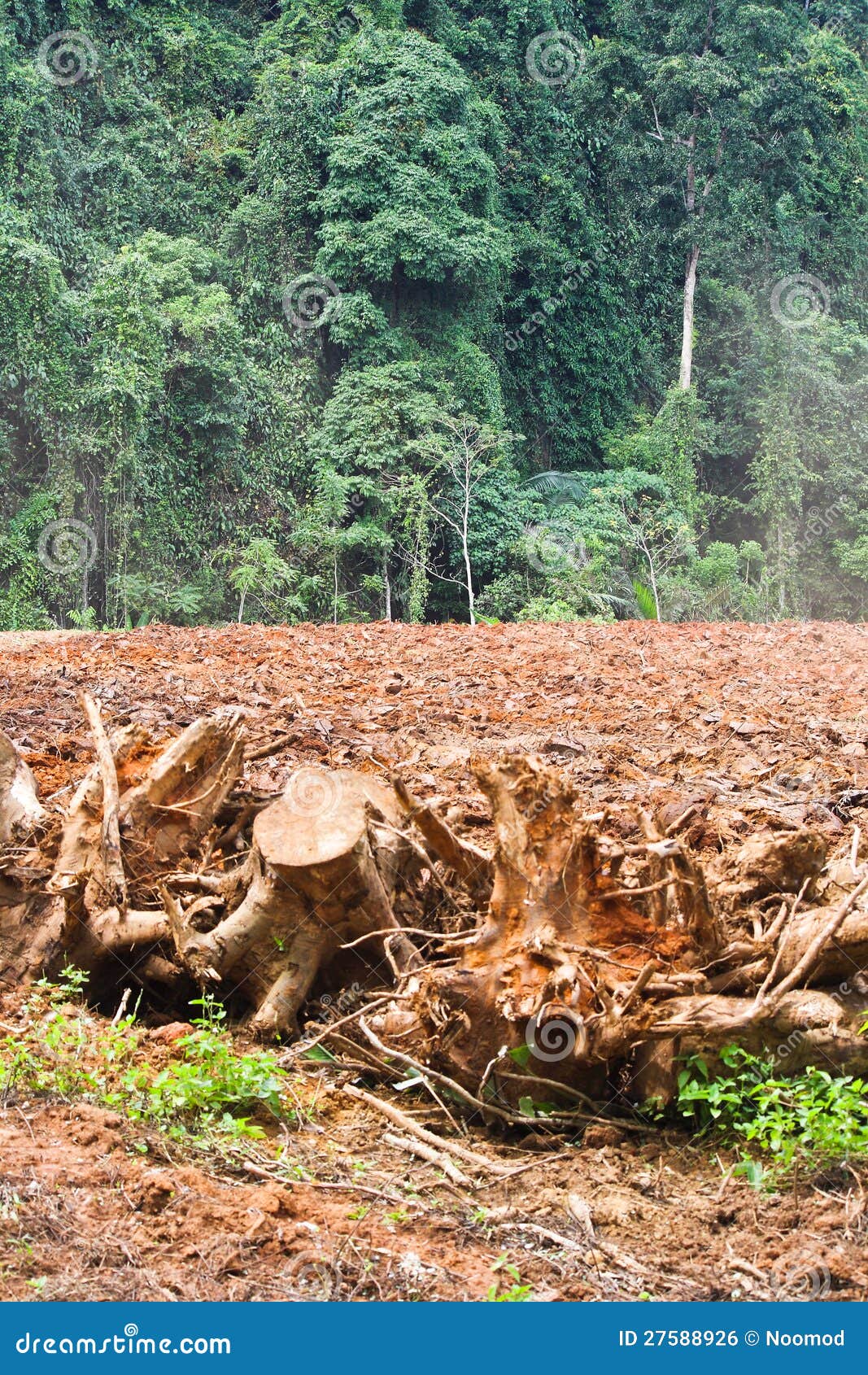 Abholzung stockfoto. Bild von böhmisch, feld, verwüstung - 27588926