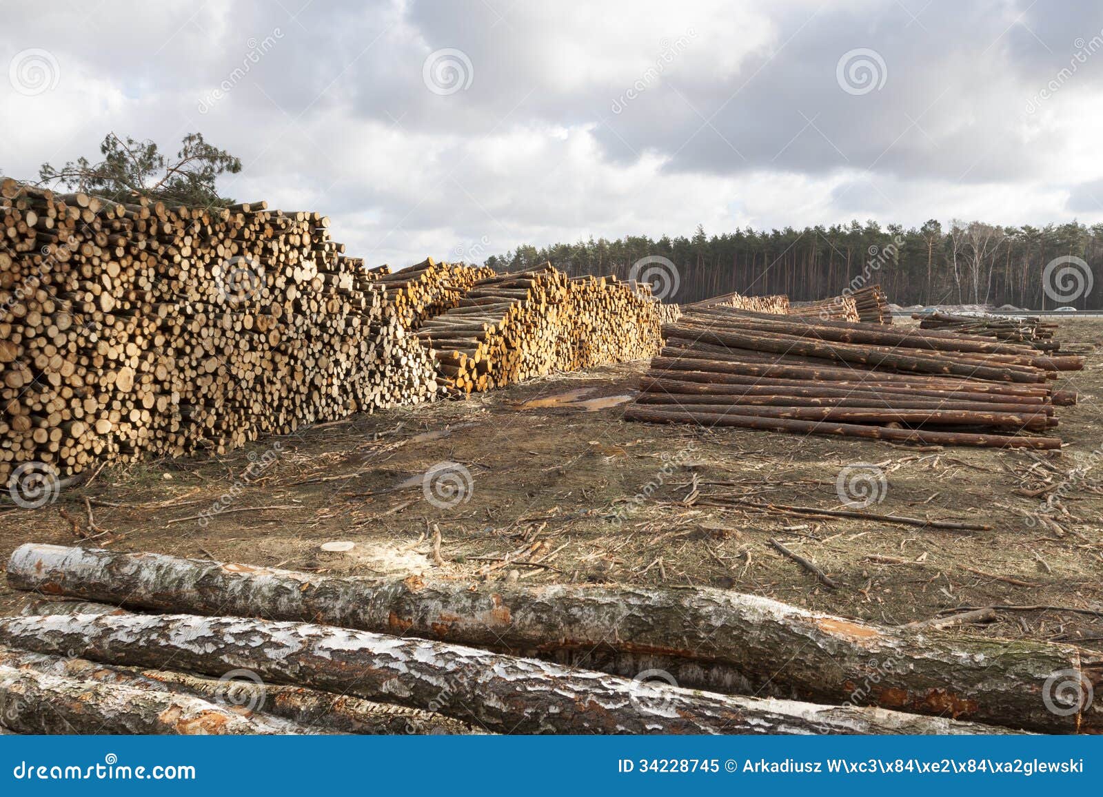 Abholzung stockbild. Bild von braun, horizontal, stumpf - 34228745