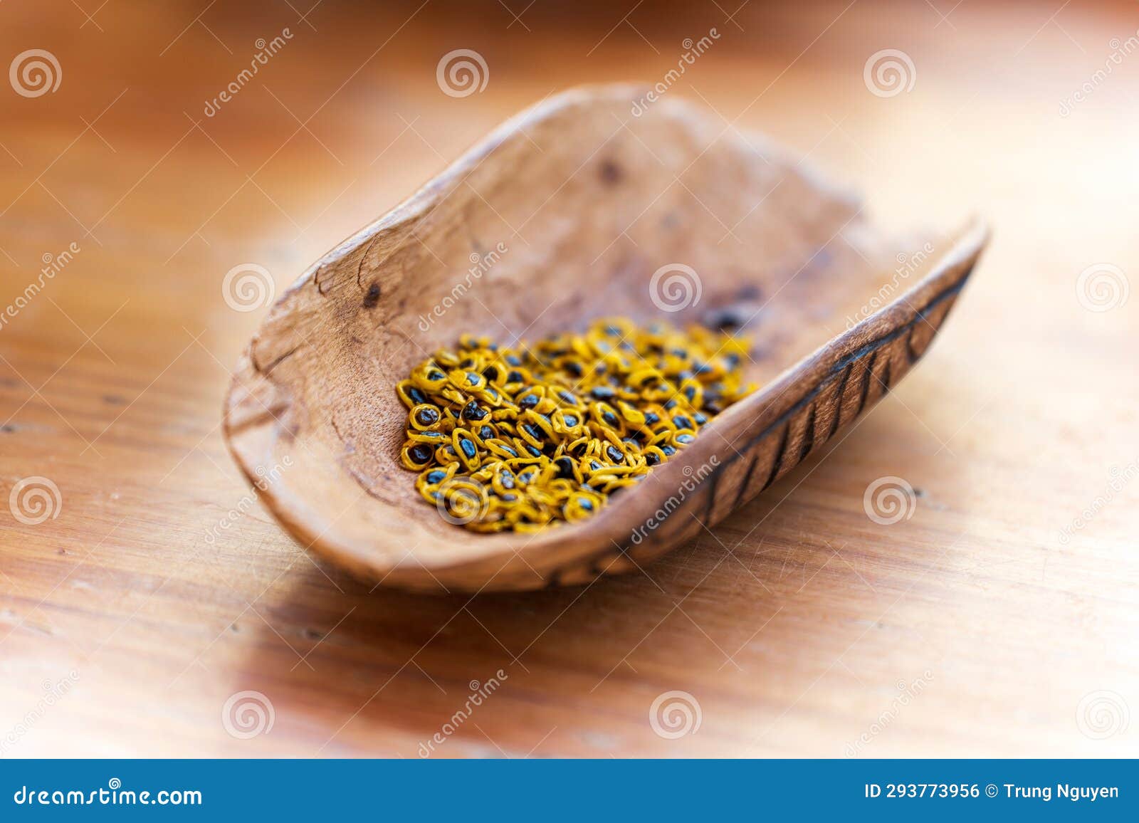 Aboriginal, Alice Springs, Arid, Australia, Australian, Bush, Bush Walk ...