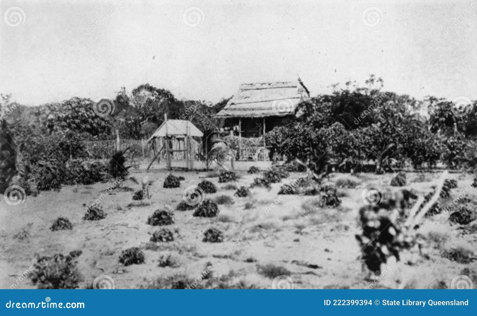 Aboriginal Farm Or Outstation At Mapoon, 1914 Picture. Image: 222399394