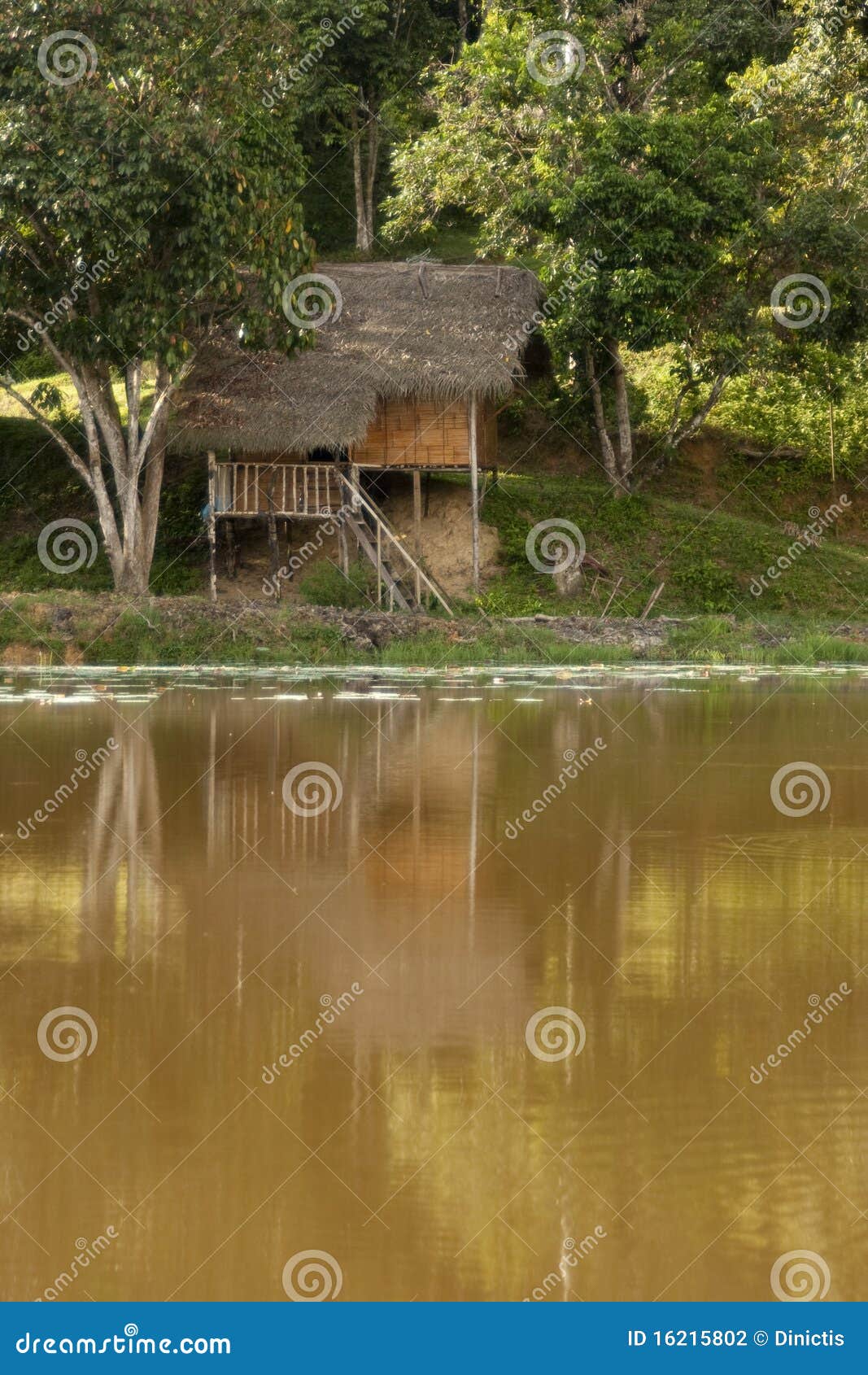 Aboriginal Hut in Tropical Jungle by the River Stock Photo - Image of ...