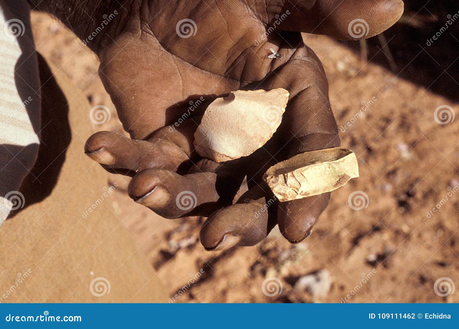 Ancient Cutting Tools in Aboriginal Hand Stock Photo - Image of gone ...