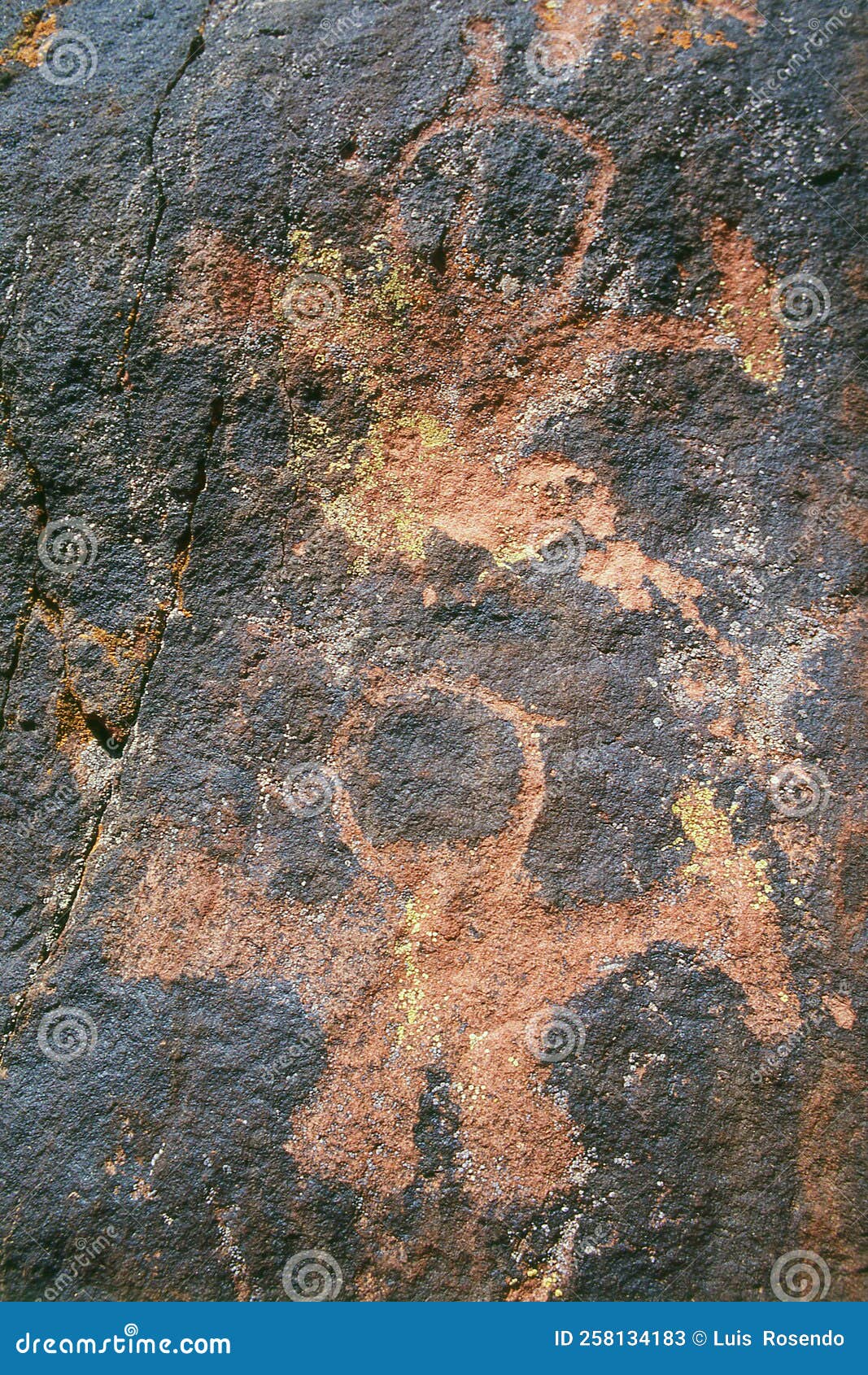 Aboriginal Petroglyphs Of A Monitor Lizard On Rock In Burrup Peninsula ...